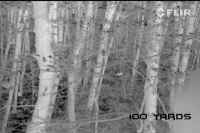 Circuity GIFs - Get the best gif on GIFER