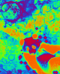 Cosmic panda GIF - Conseguir o melhor gif em GIFER