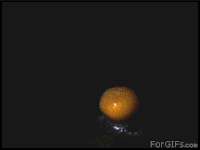 Kernel GIFs - Get the best gif on GIFER