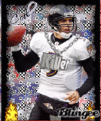 Cuervo GIFs - Get the best gif on GIFER