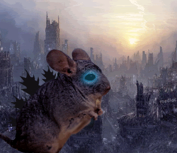 Chinzilla GIF - Conseguir o melhor gif em GIFER