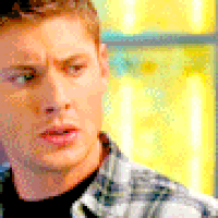 Ahhhh GIFs - Get the best gif on GIFER