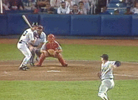 Yankees GIFs - Get the best gif on GIFER