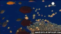 Coal GIFs - Get the best gif on GIFER