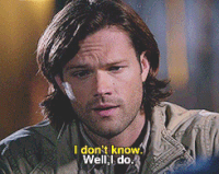 Dur GIFs - Get the best gif on GIFER