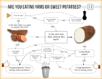 Yam GIFs - Get the best gif on GIFER