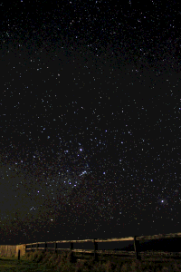 Rise GIFs - Get the best gif on GIFER