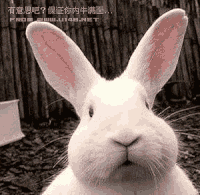 Changing GIFs - Get the best gif on GIFER