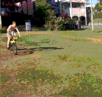 Bici GIFs - Get the best gif on GIFER