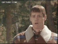 Amount GIFs - Get the best gif on GIFER