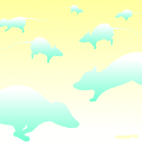 Gradiant GIFs - Get the best gif on GIFER