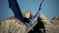 Pterodactyls attack GIFs - Get the best gif on GIFER