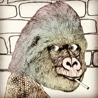 Ape GIFs - Get the best gif on GIFER