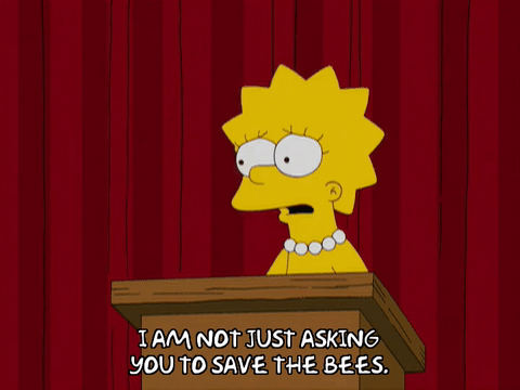 Save the bees GIFs - Get the best gif on GIFER