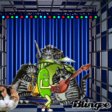 Pickle GIF on GIFER - by Coigar