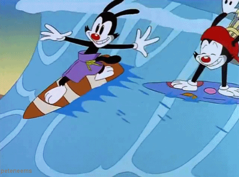 Surfing animaniacs 90s GIF on GIFER - by Ironweaver