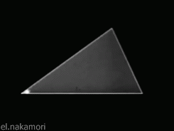 Angles geometry triangle GIF on GIFER - by Shardin