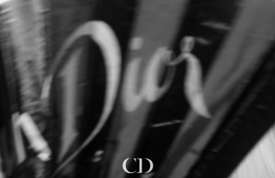 Dior fashion christian dior GIF on GIFER - by Vudosar