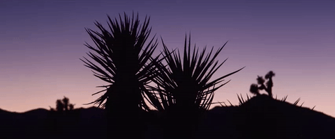 GIF nature desert time lapse - animated GIF on GIFER - by Shali