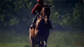 Gif De Courses De Chevaux Federation Belge Des Courses De Galop