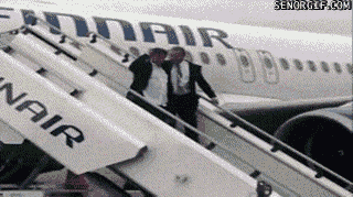 Airplane plane fail GIF on GIFER - by Gholbilsa