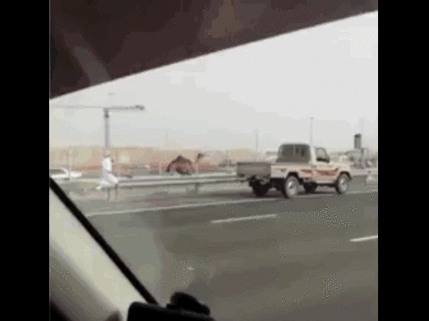 Berserk guts GIF on GIFER - by Motius