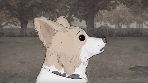 Patrick I Love You Gif